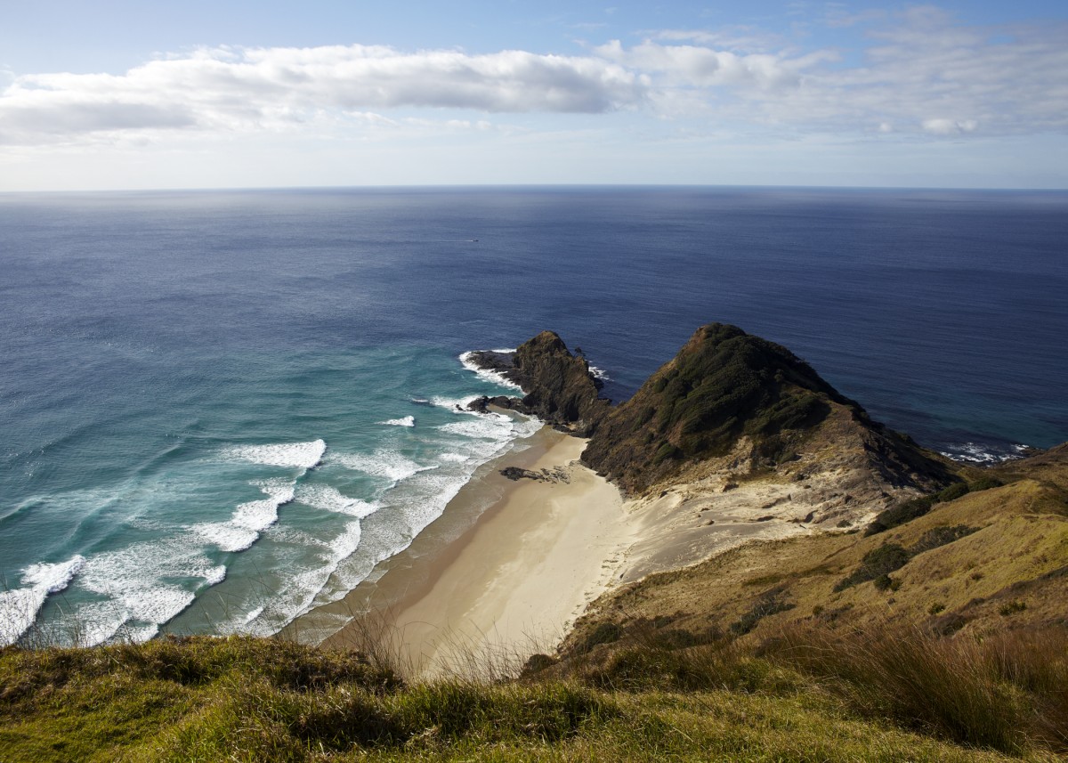 Cape Reinga Tour - Half Day Fly and Drive Tours, Northland New Zealand